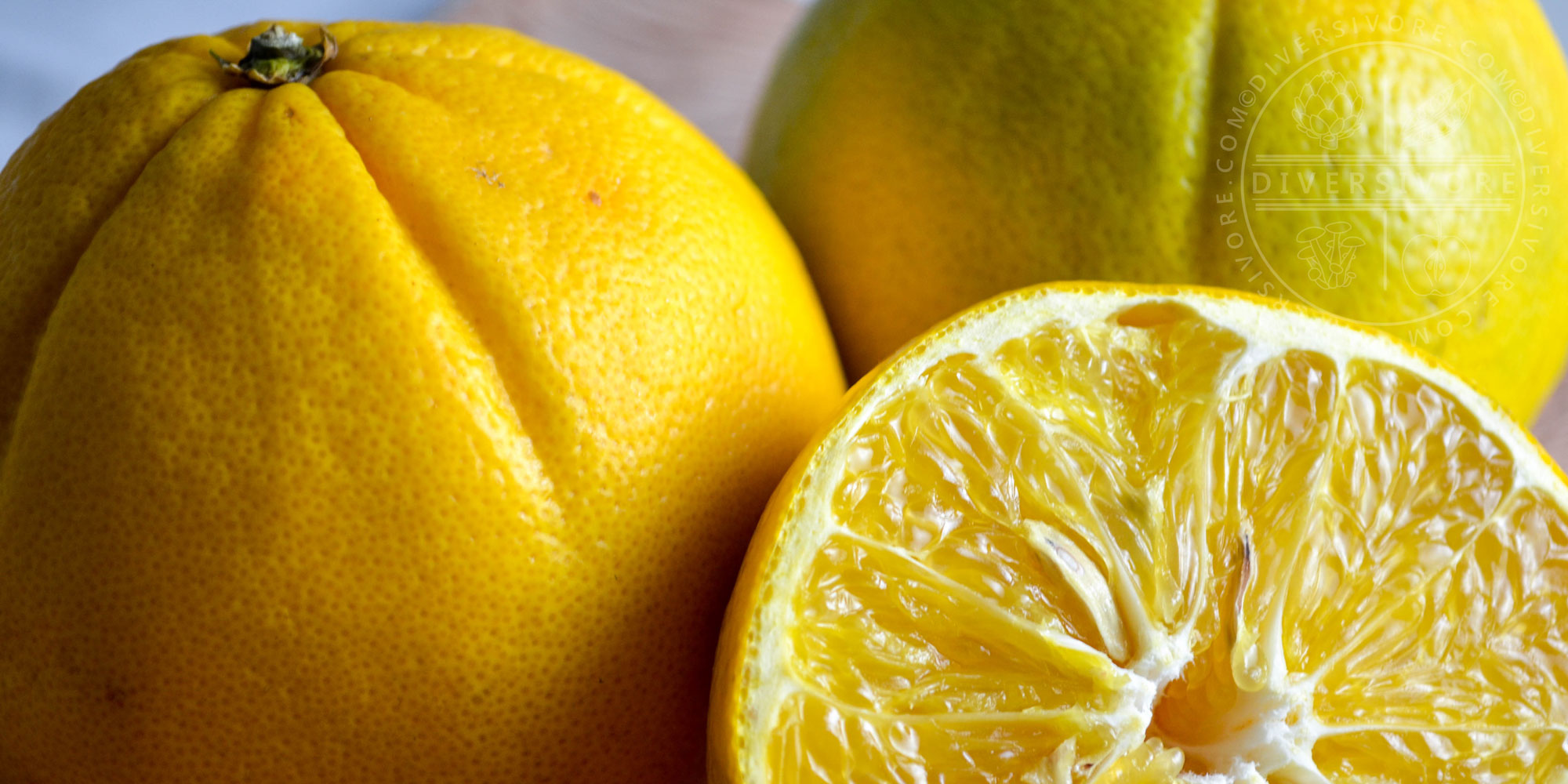 Ingredient Pages | diversivore