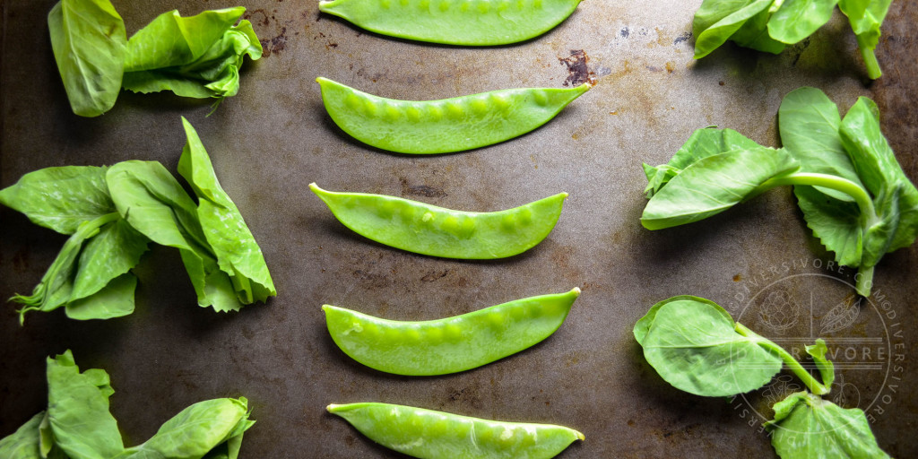 Snow Peas | diversivore