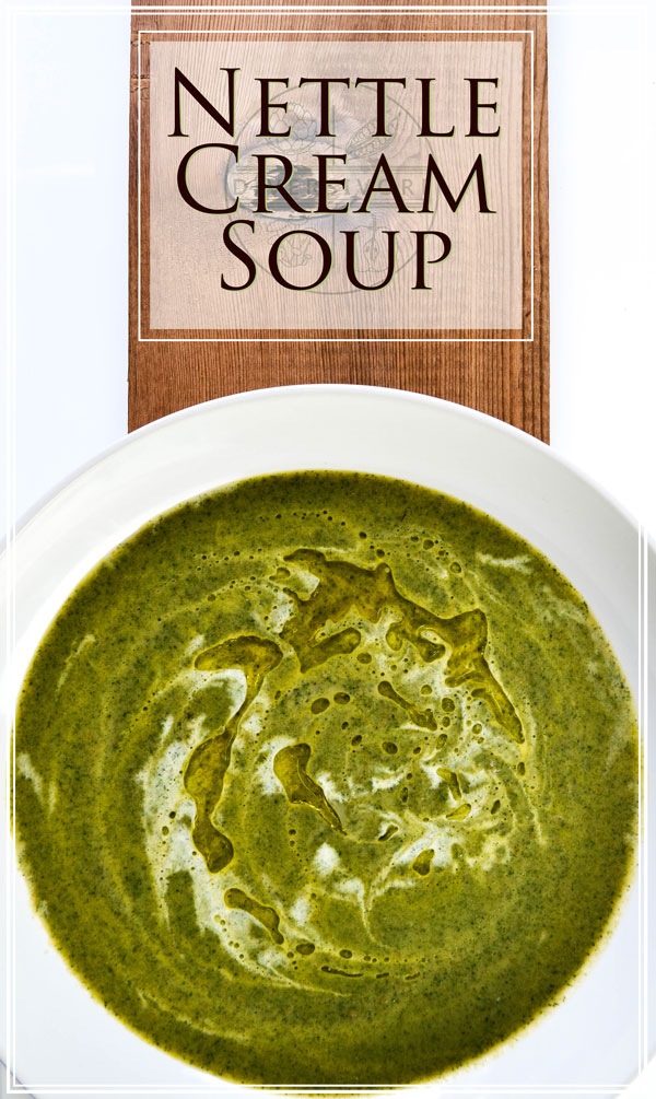 Nettle Cream Soup