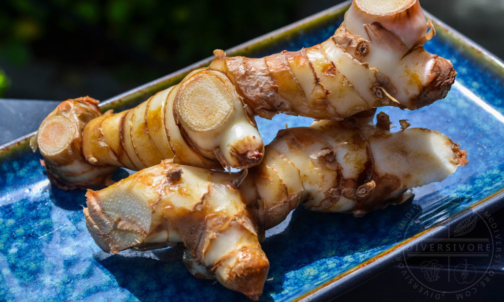 Greater Galangal - How to Choose & Use It | diversivore
